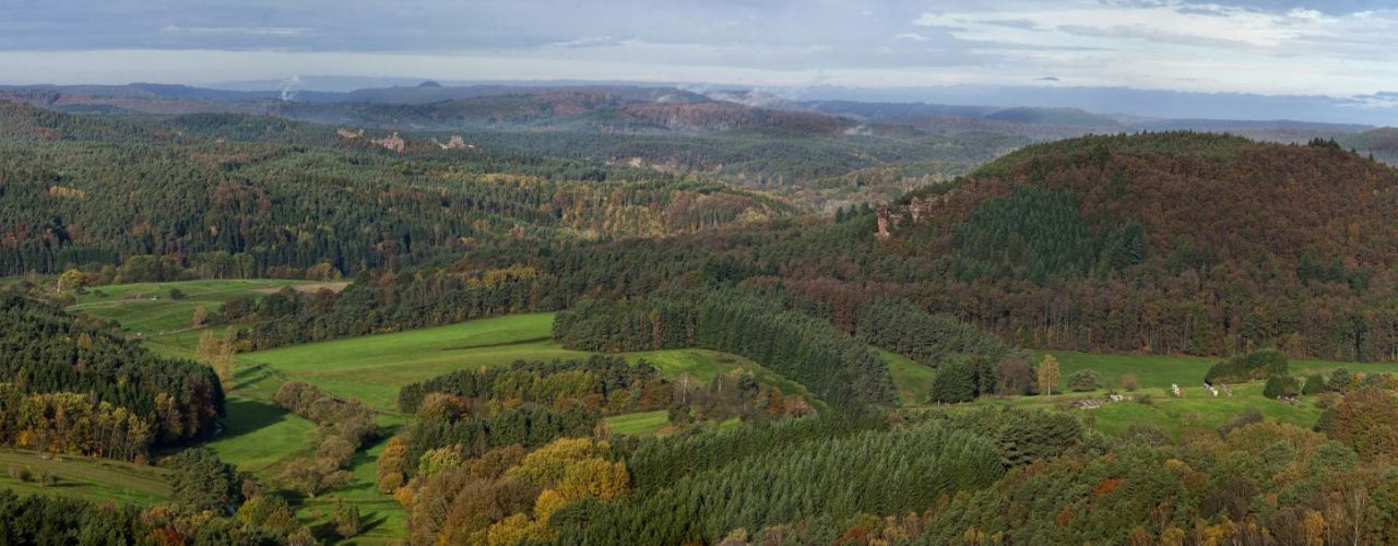 VG Dahner Felsenland